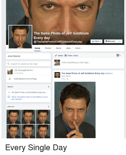 16 Jeff Goldblum Memes To Help Your 'Life, Uh... Find A Way'