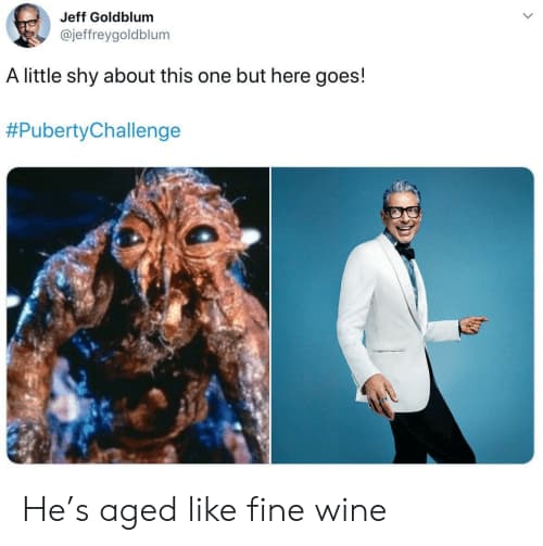 16 Jeff Goldblum Memes To Help Your 'Life, Uh... Find A Way'