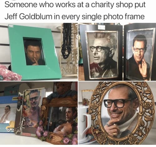 16 Jeff Goldblum Memes To Help Your 'Life, Uh... Find A Way'