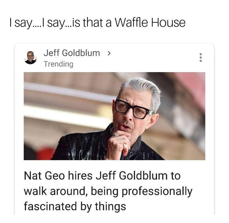 16 Jeff Goldblum Memes To Help Your 'Life, Uh... Find A Way'