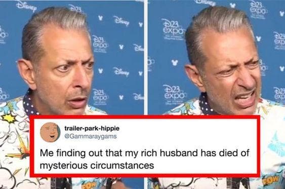16 Jeff Goldblum Memes To Help Your 'Life, Uh... Find A Way'