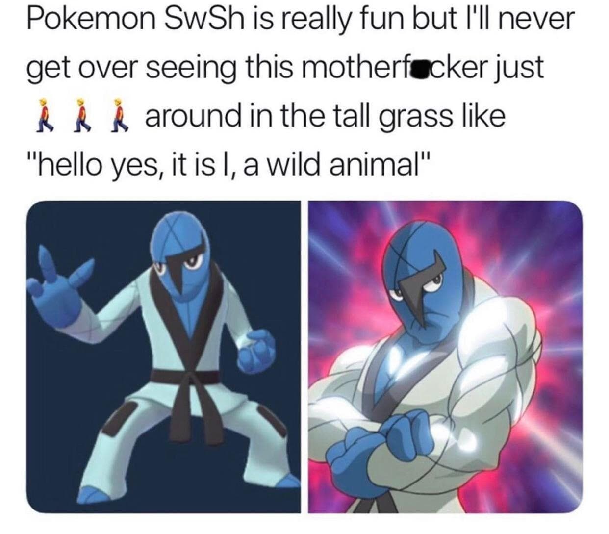 20 Memes That Make Fun Of 'Pokémon Sword And Shield'