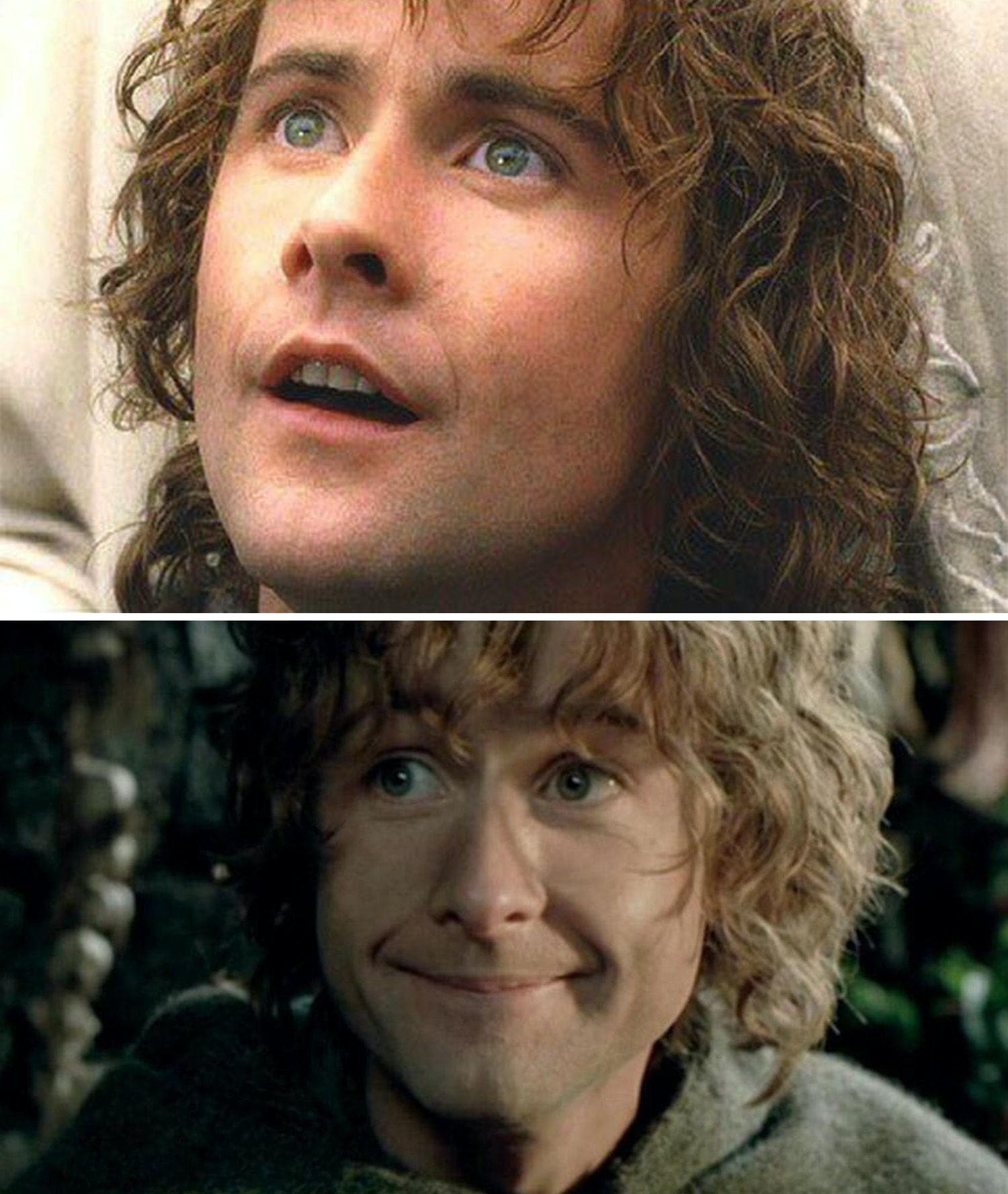 A 'The Lord Of The Rings' Drinking Game To Get Even Non-Fans Through ...
