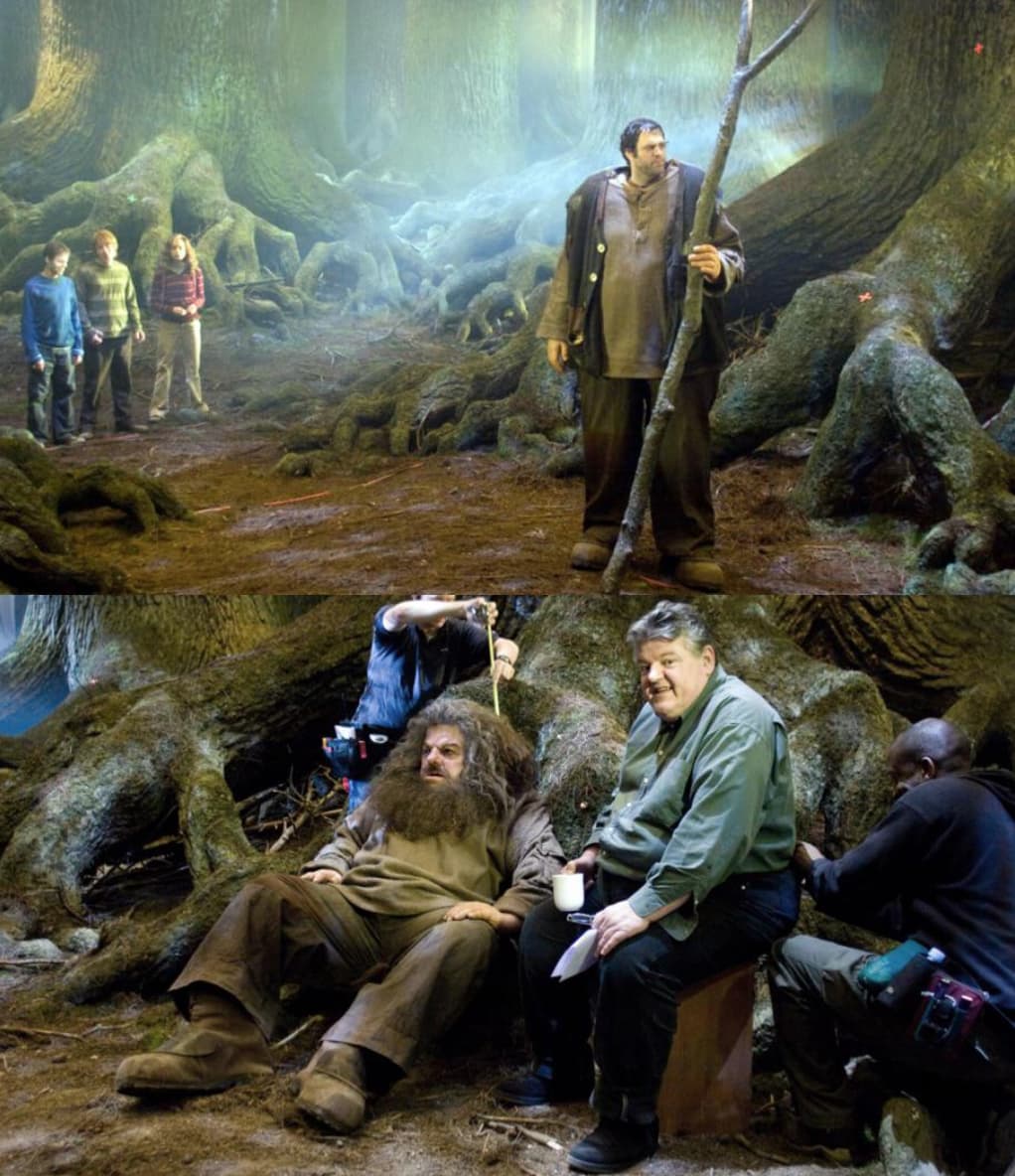 15 Small 'Harry Potter And The Order Of The Phoenix' Details Fans Noticed