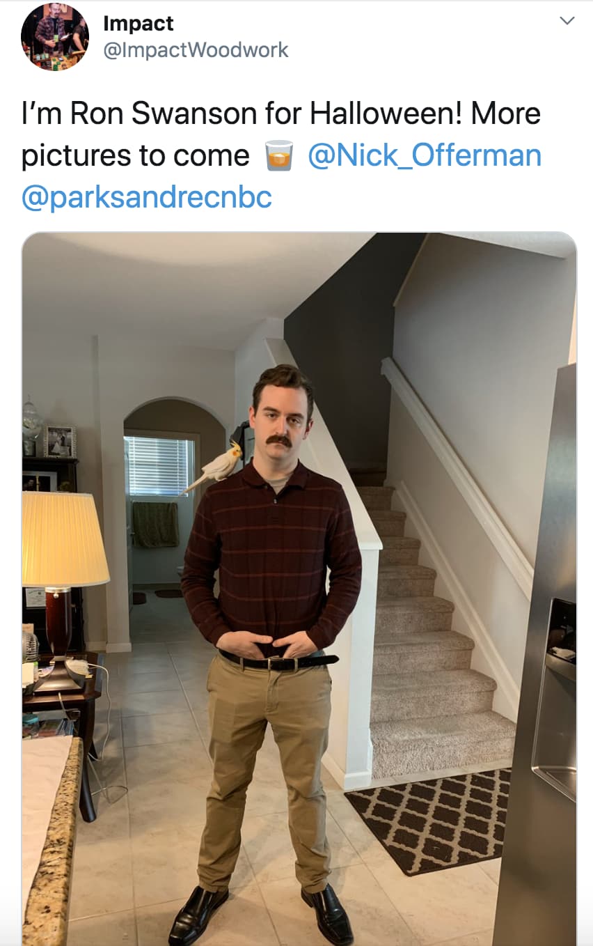 37 Ron Swanson Halloween Costumes That Received Nick Offerman's Stamp ...
