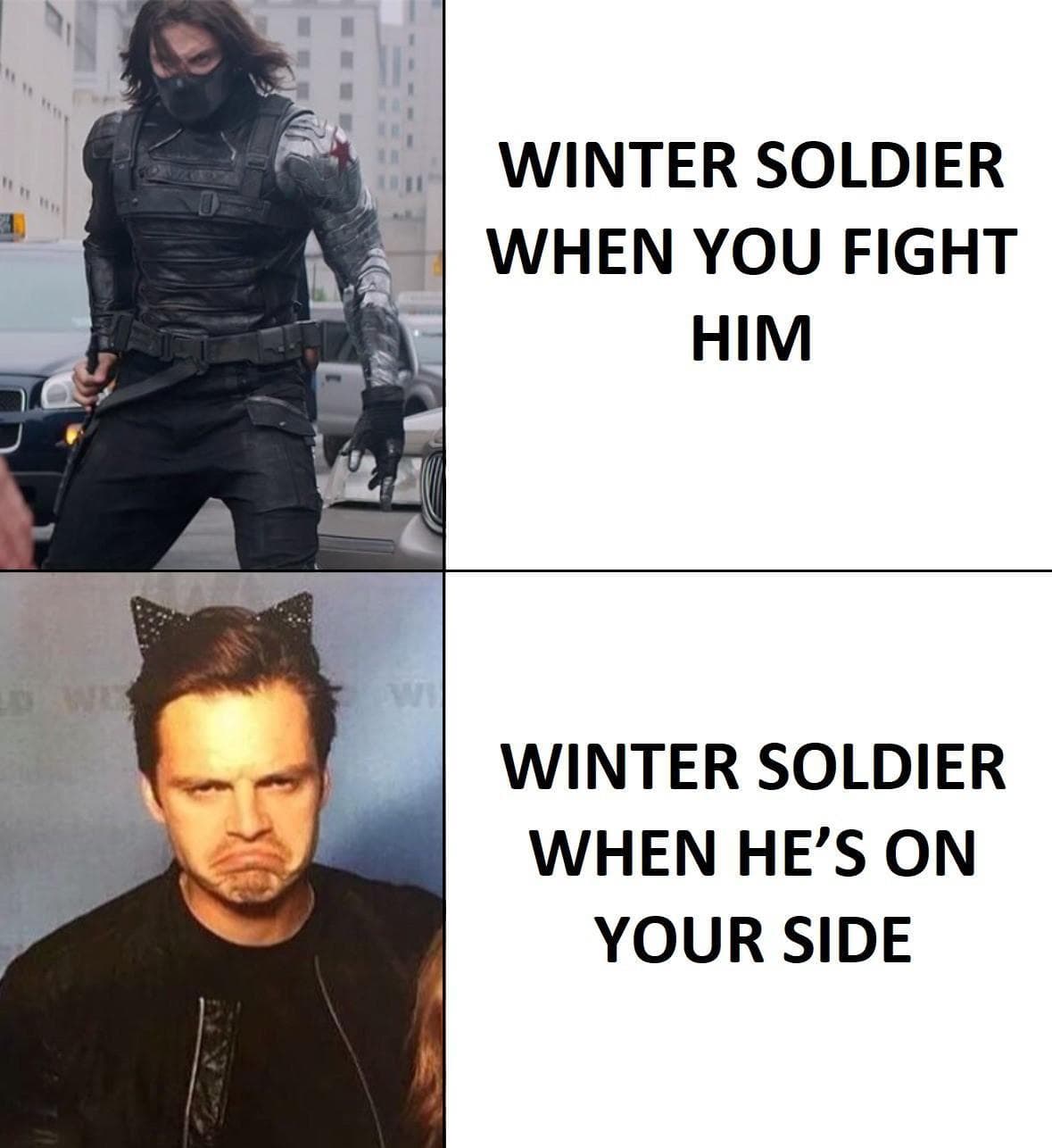 23 Funny Winter Soldier Memes That Would Make The Falcon Laugh