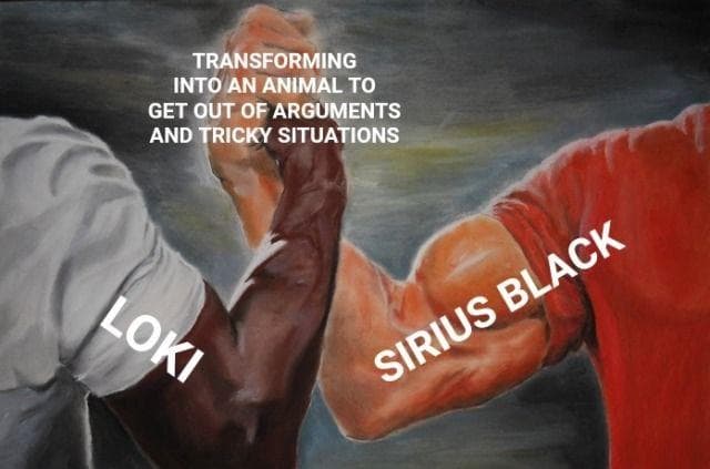 21 'Harry Potter' Memes That Finally Give Sirius Black The Love And And ...