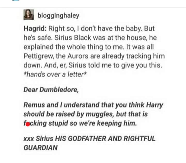21 'Harry Potter' Memes That Finally Give Sirius Black The Love And And ...