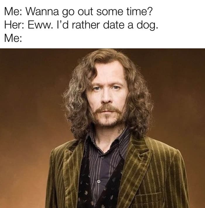 21 'Harry Potter' Memes That Finally Give Sirius Black The Love And And ...