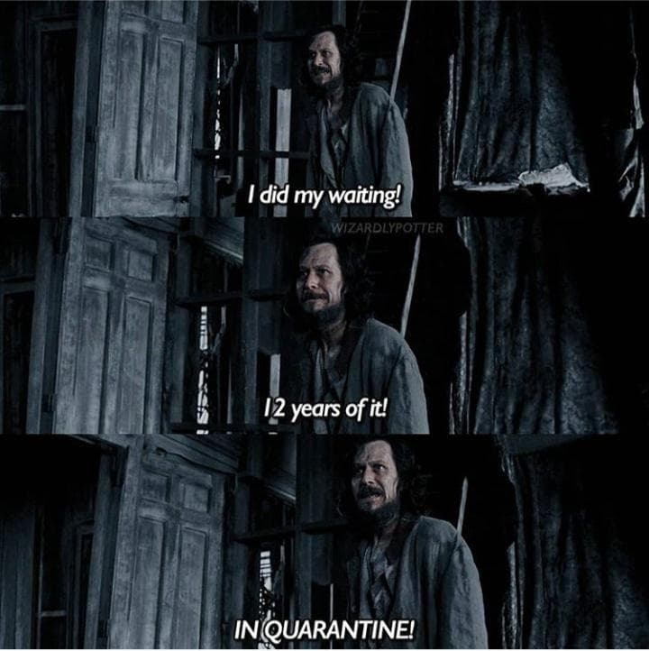 21 'Harry Potter' Memes That Finally Give Sirius Black The Love And And ...