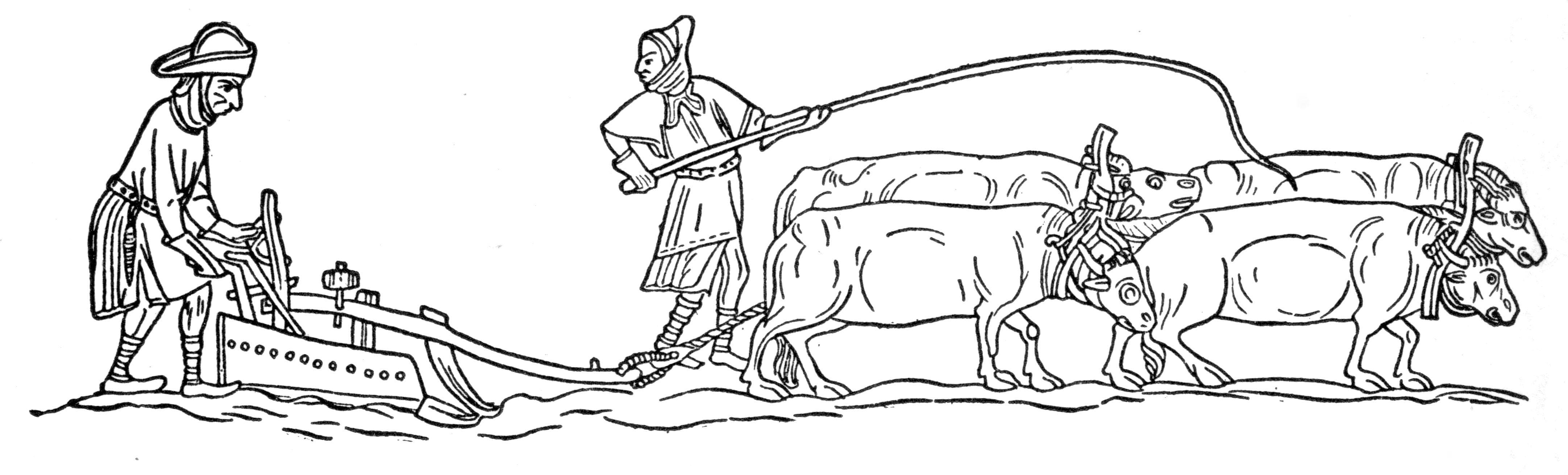 13 Animals That Changed The Course Of Human History