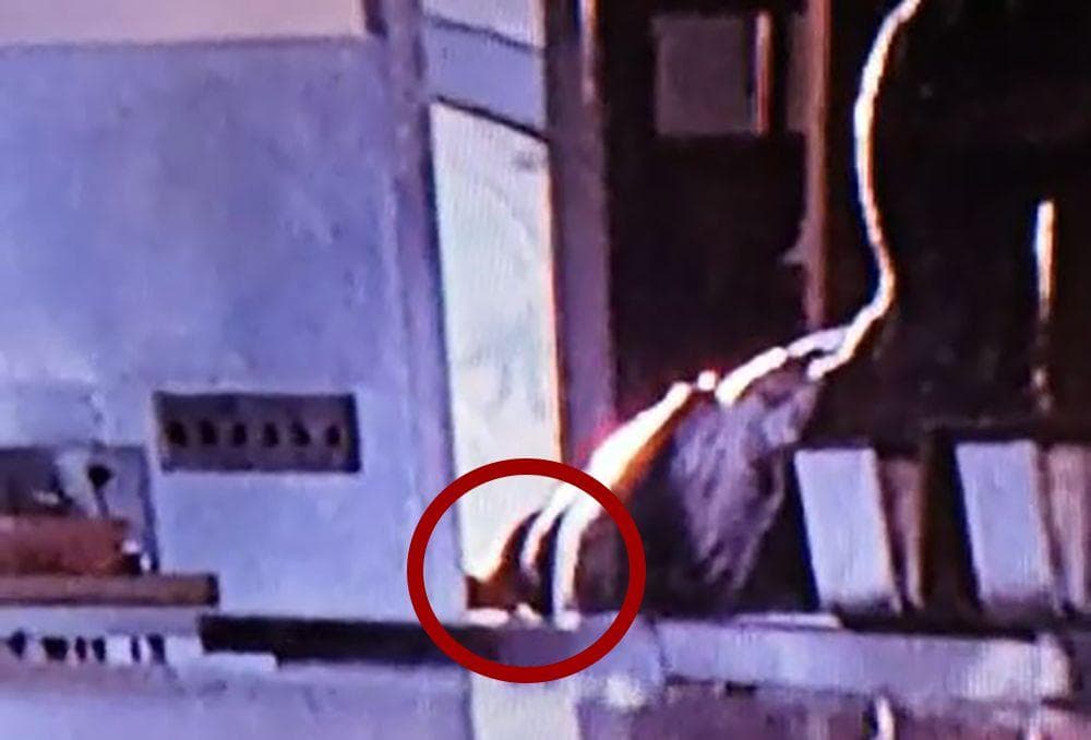 Small Details From The Jurassic Park Films That Fans Somehow Noticed