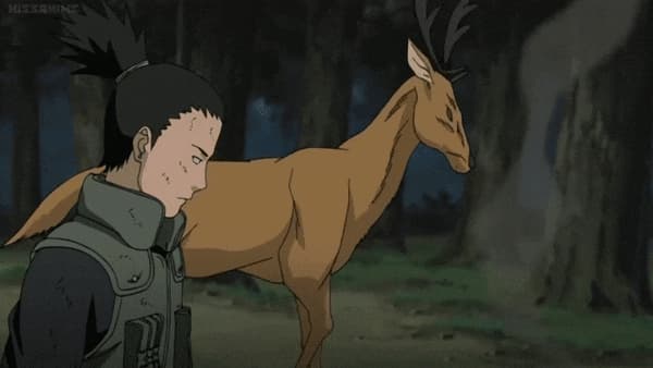 20 Things You Didn't Know About Naruto Family Clans