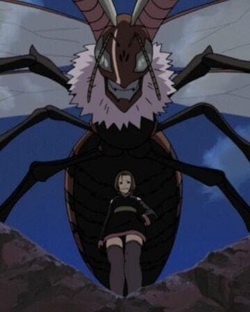 20 Things You Didn't Know About Naruto Family Clans