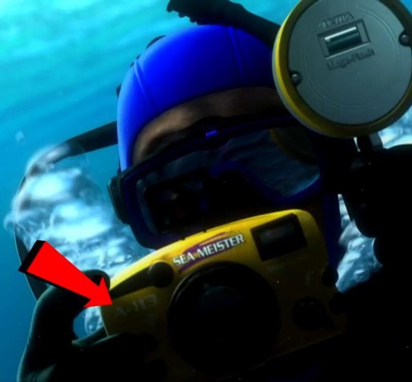 Small But Interesting 'Finding Nemo' Details That Fans Noticed
