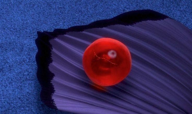 Small But Interesting 'Finding Nemo' Details That Fans Noticed