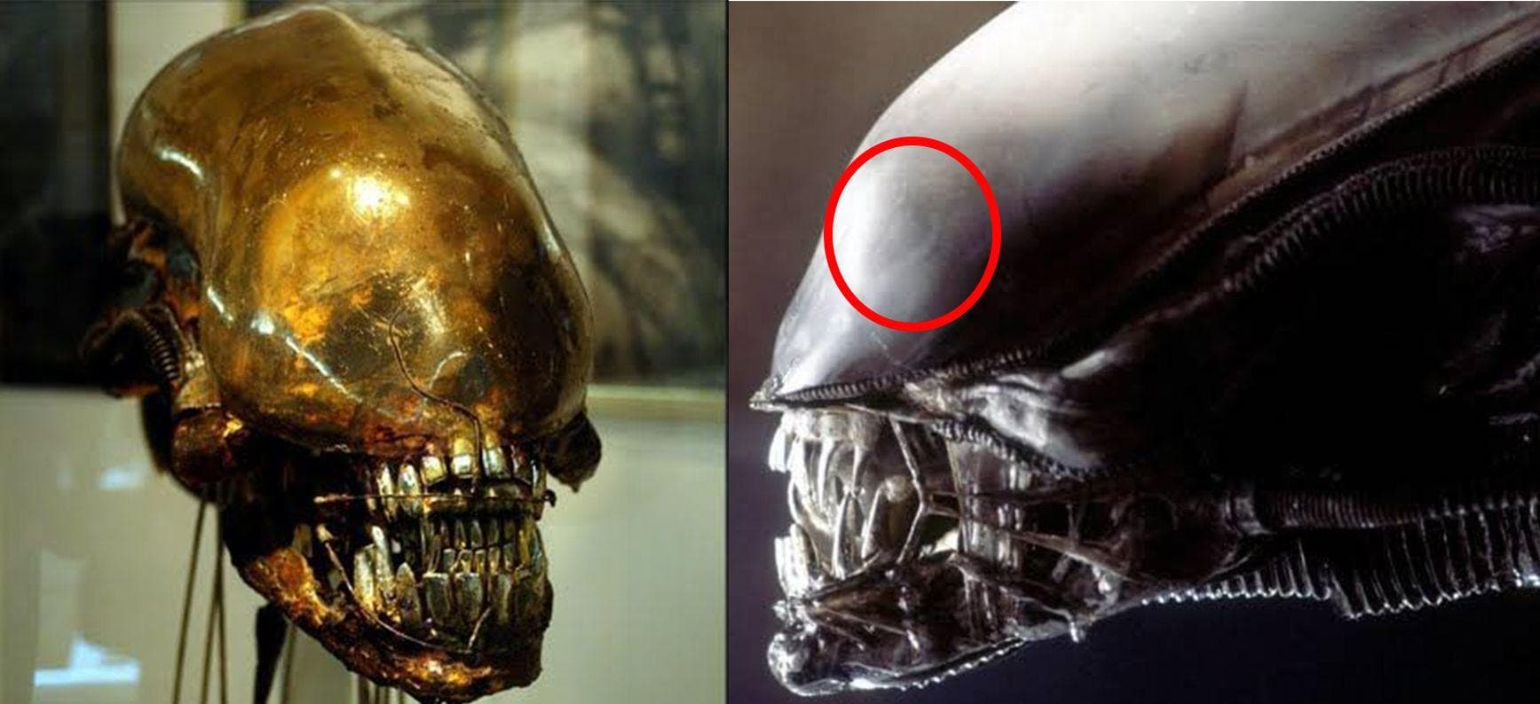 Small But Terrifying Details From 'Alien' That Remind Us Why It's So ...