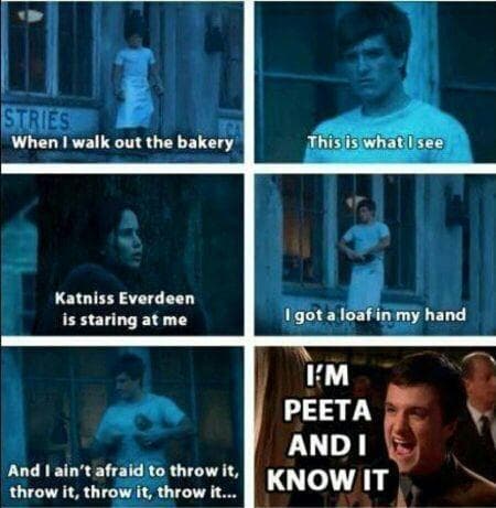 16 Funny Peeta Mellark Memes From 'The Hunger Games' That Prove He's ...