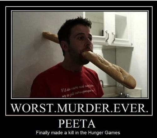 16 Funny Peeta Mellark Memes From 'The Hunger Games' That Prove He's ...