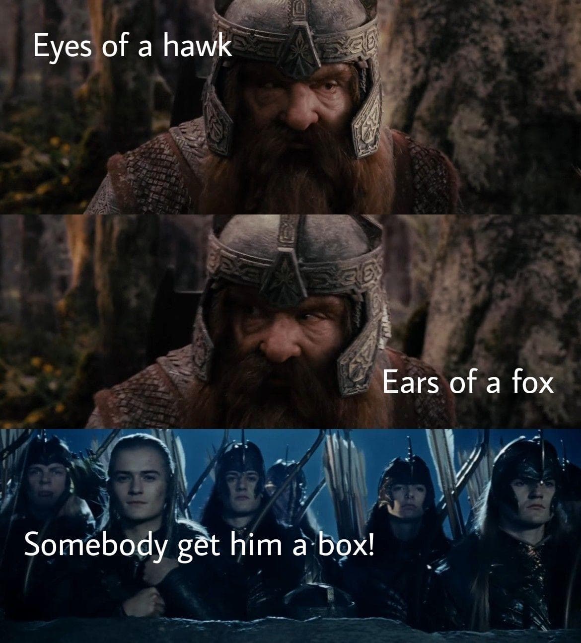 23 Cheeky Gimli Memes That Are Worth Their Salt(ed Pork)