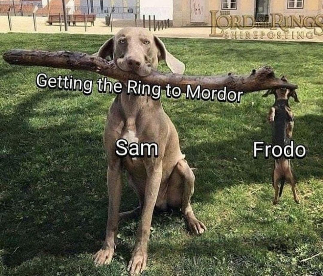 23 Enjoyable Frodo Baggins Memes To Get You Through The Week