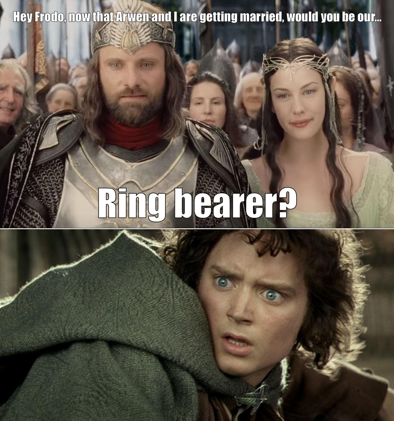 23 Enjoyable Frodo Baggins Memes To Get You Through The Week