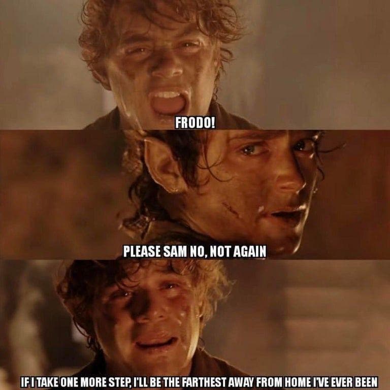 23 Enjoyable Frodo Baggins Memes To Get You Through The Week