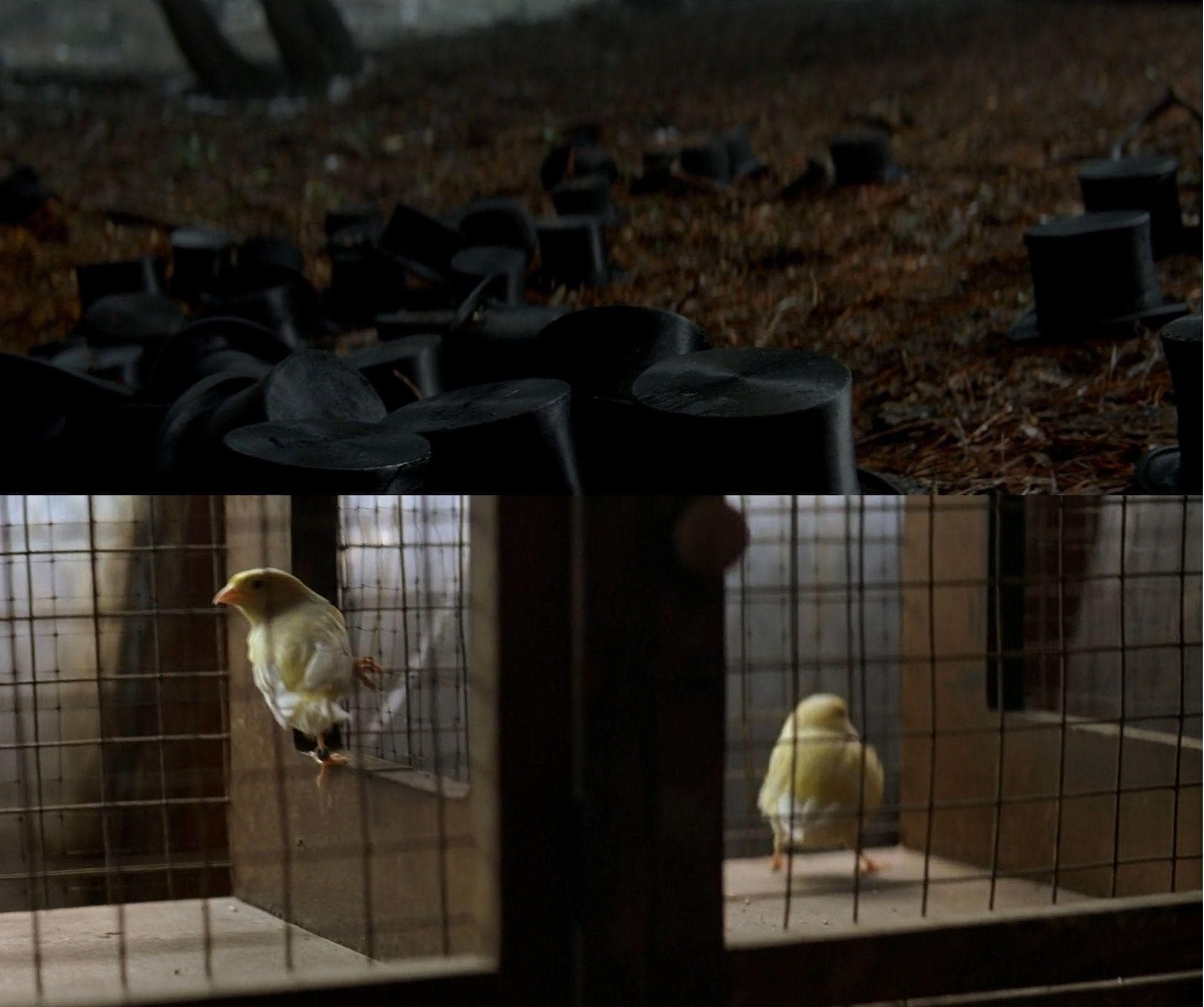 15 Small Details From 'The Prestige' That Made Us Do A Double Take