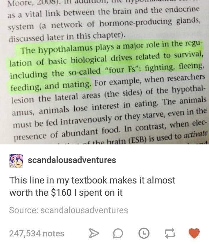 Relatable Post School