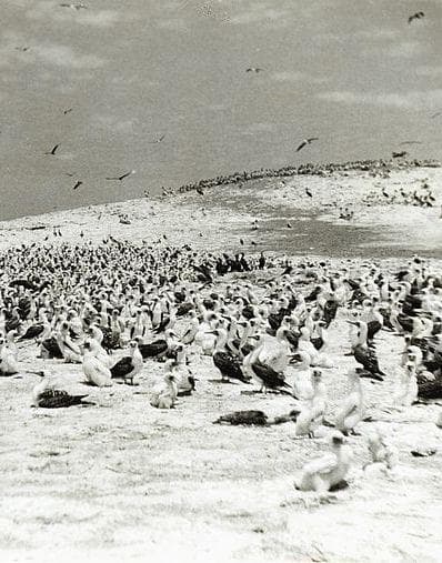 12 Major Historical Conflicts Caused By Seemingly Minor Incidents