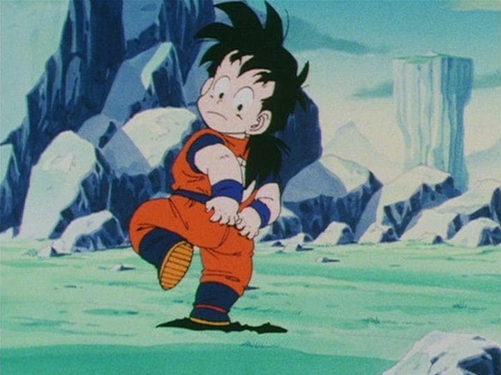 15 Interesting Things You Might Not Know About Gohan