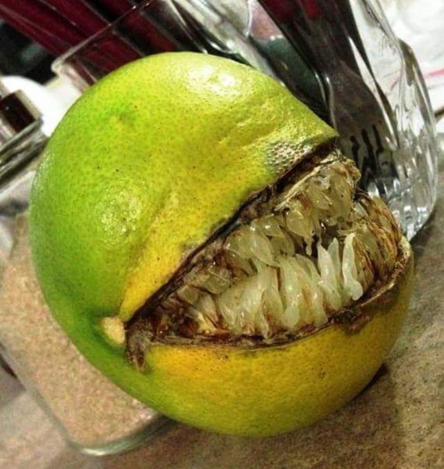 Oddly Terrifying 'Thanks, I Hate It' Images We Can't Look Away From