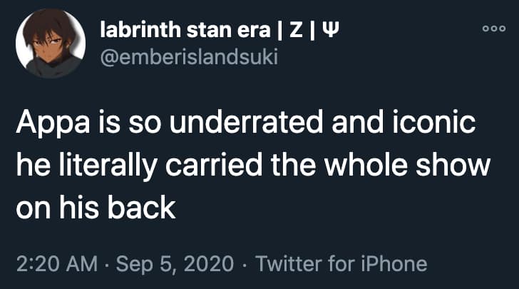 25 Appa Memes For ATLA Fans Who Know He's The Best Part Of The Series