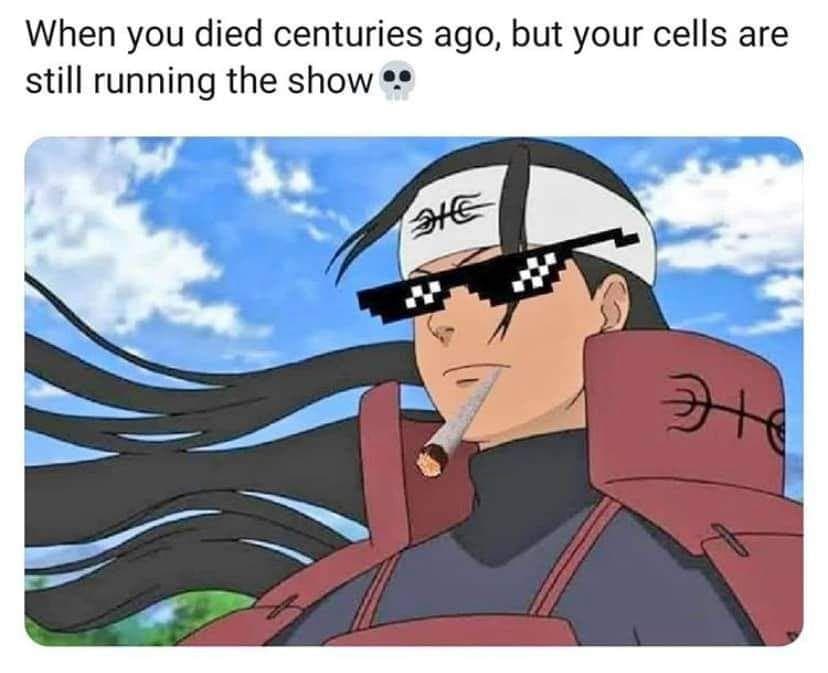 21 Hilarious Hashirama Senju Memes We Laughed Way Too Hard At