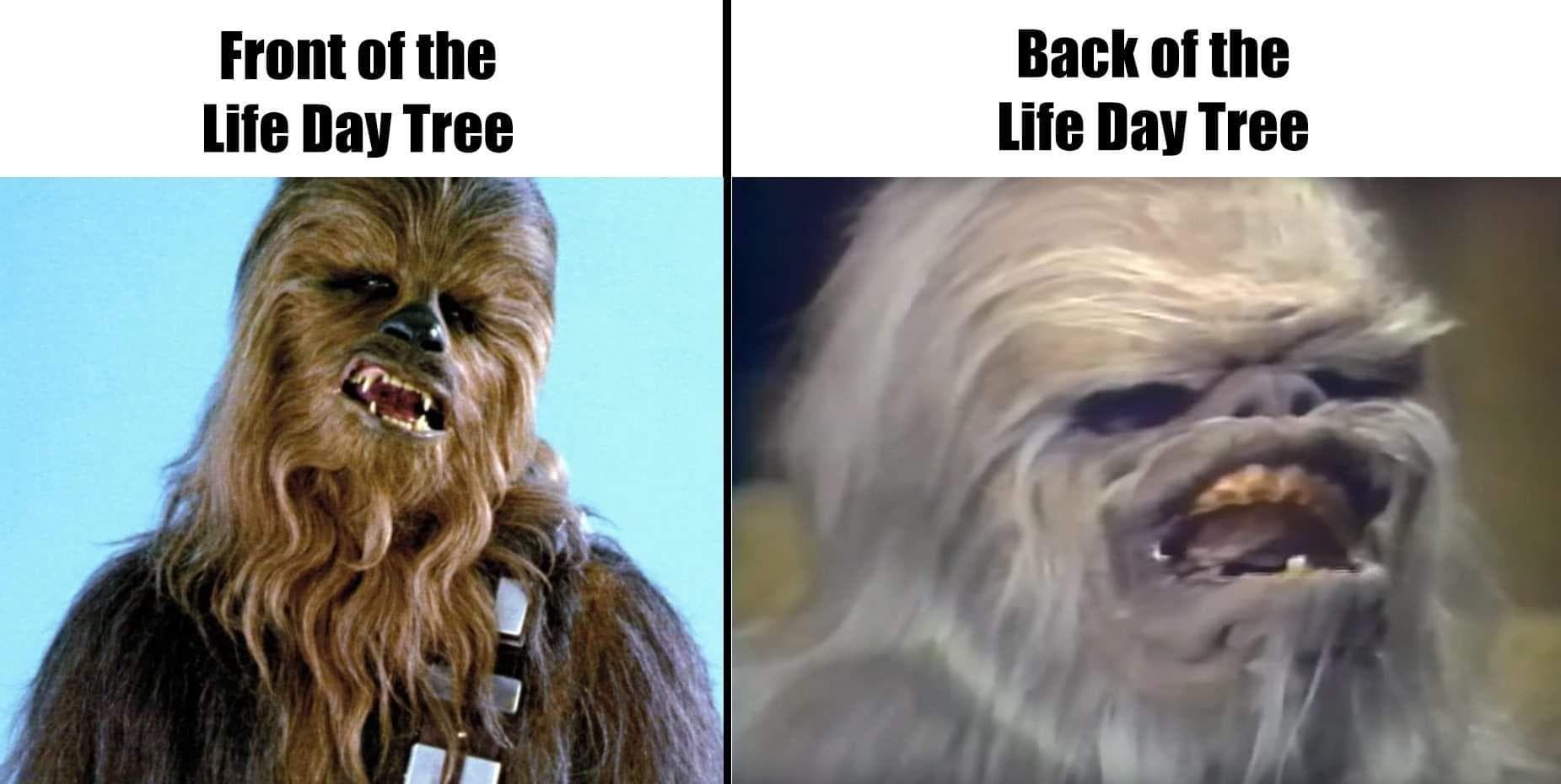 18 Wookiee Memes That'll Make You Laugh It Up Like A Fuzzball