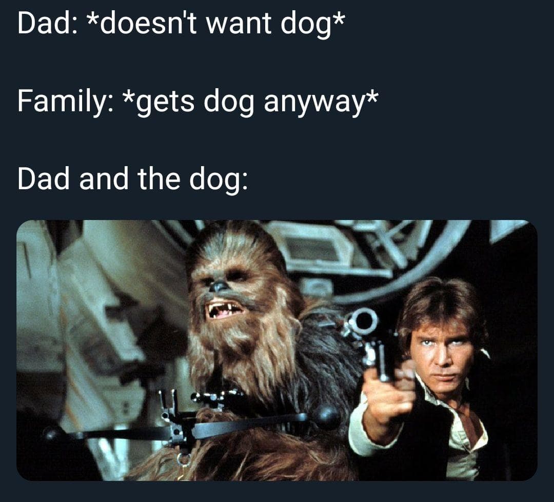 18 Wookiee Memes That'll Make You Laugh It Up Like A Fuzzball