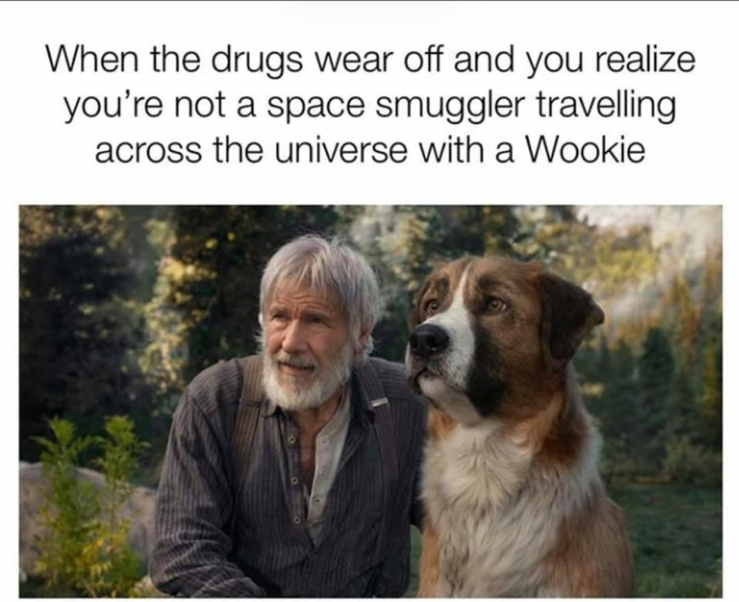 18 Wookiee Memes That'll Make You Laugh It Up Like A Fuzzball