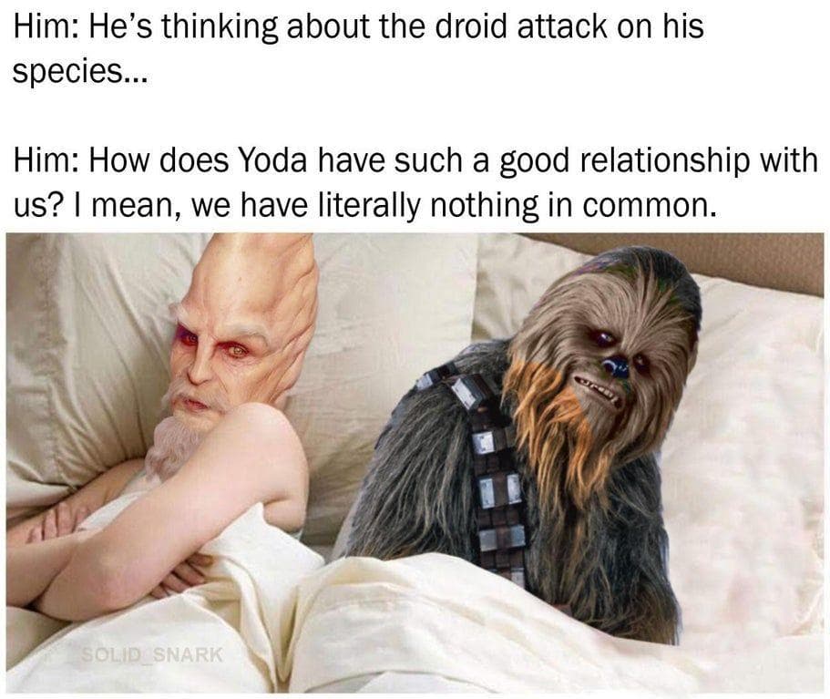 18 Wookiee Memes That'll Make You Laugh It Up Like A Fuzzball