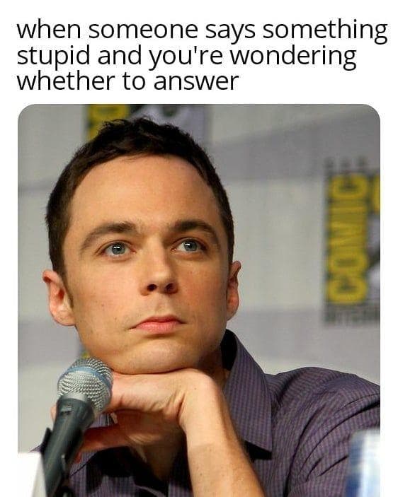 20 'Big Bang Theory' Memes For Fans Who Need To Feed Their Nerdy Souls