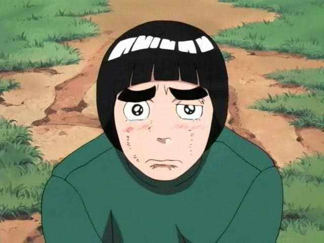 15 Things You Didn't Know About Rock Lee