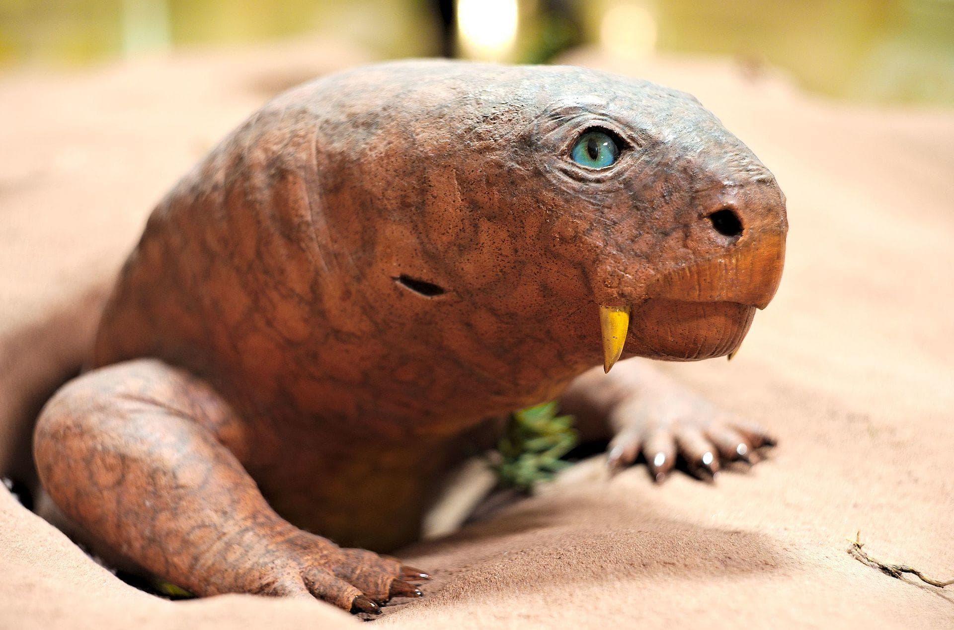 15 Interesting Things You Probably Didn't Know About The Bulbasaur Family