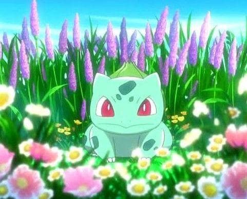 15 Interesting Things You Probably Didn't Know About The Bulbasaur Family