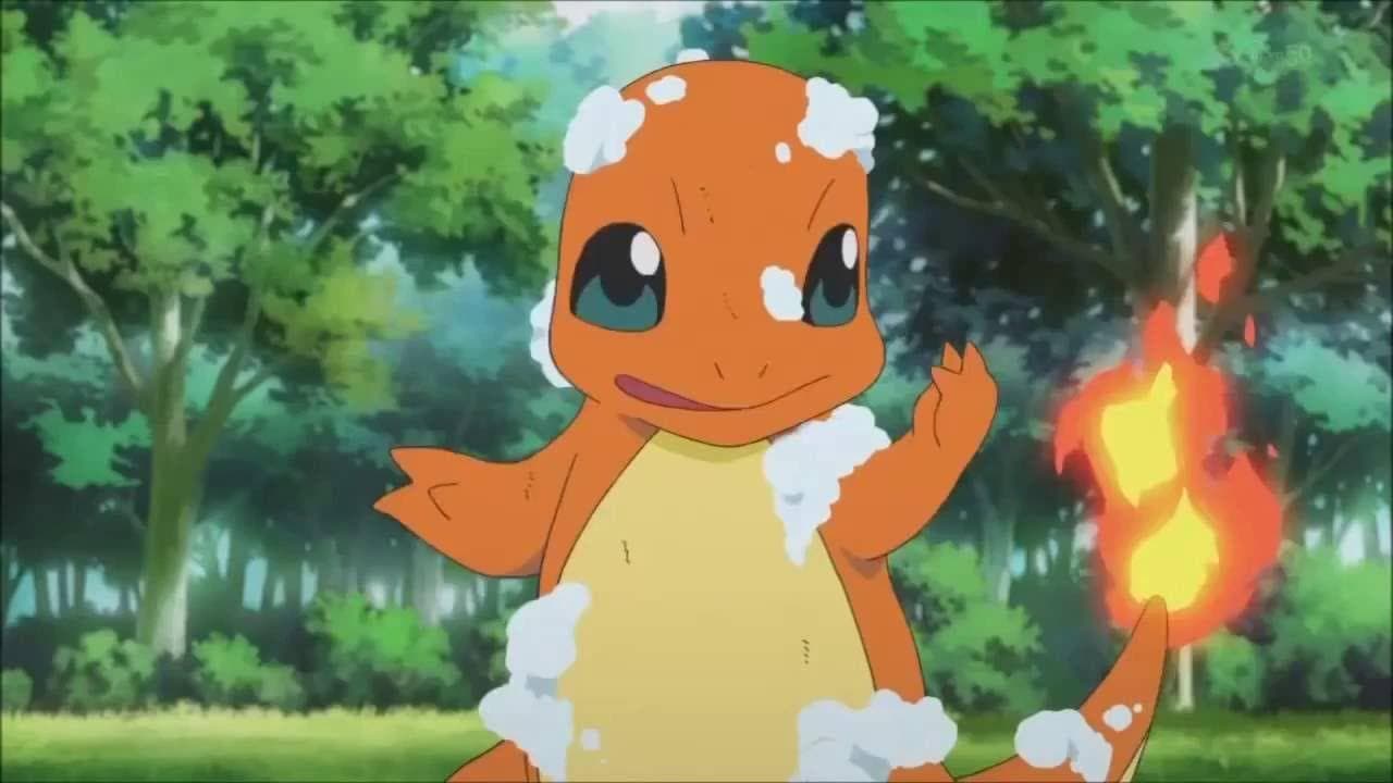 15 Interesting Things You Probably Didn't Know About The Charmander Family