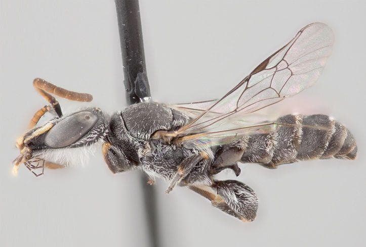 20 Interesting Things You Probably Didn't Know About Fire Pokemon