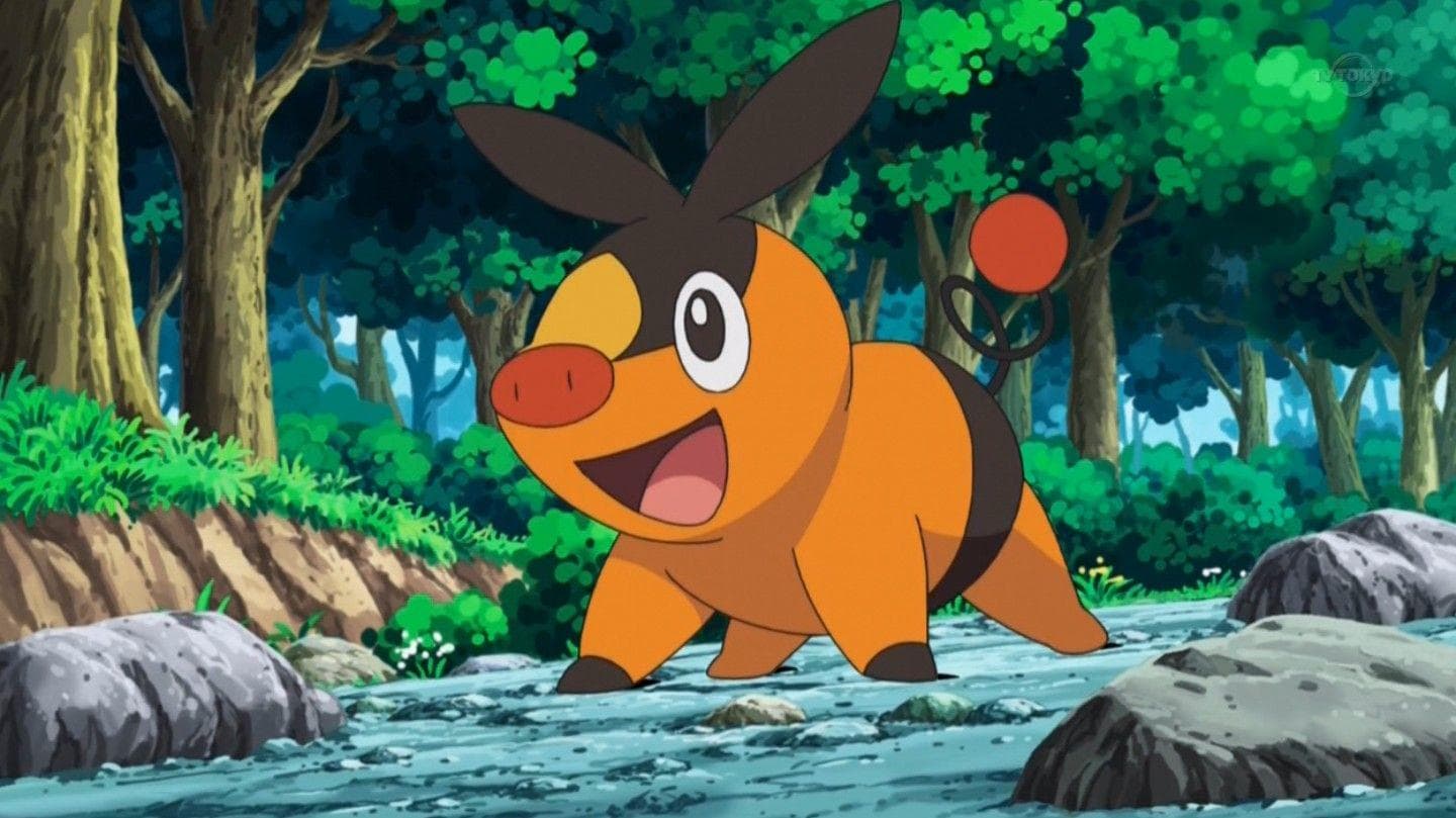 20 Interesting Things You Probably Didn't Know About Fire Pokemon