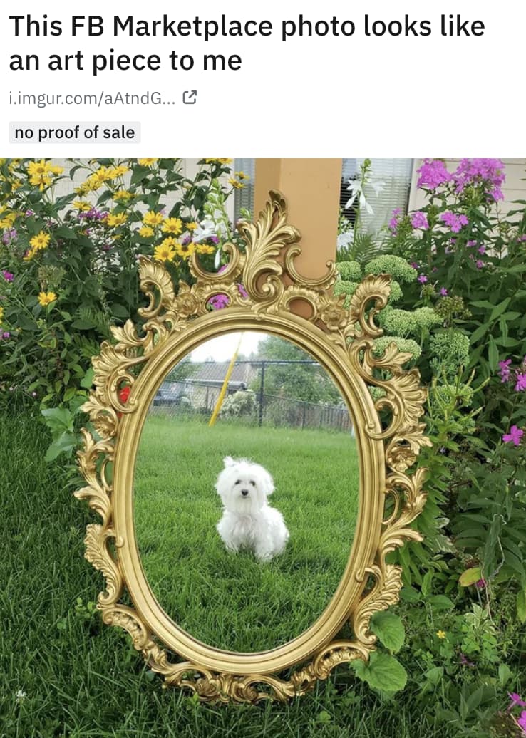 32 Hilariously Earnest Photos Of People Trying To Sell Mirrors