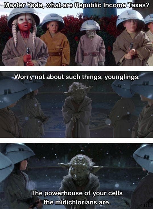 20 Youngling Memes From 'Star Wars' That'll Make You Feel Bad For Laughing