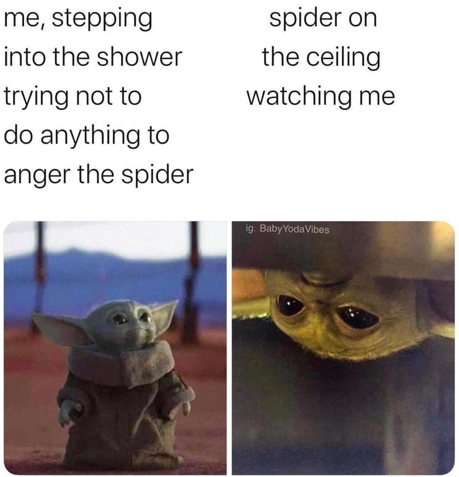 25 Funny Grogu Memes That Are Absolutely "The Way"