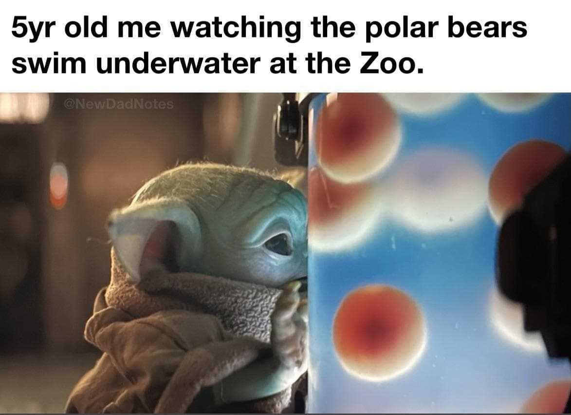 25 Wholesome Grogu Memes To Show You This Is The Way