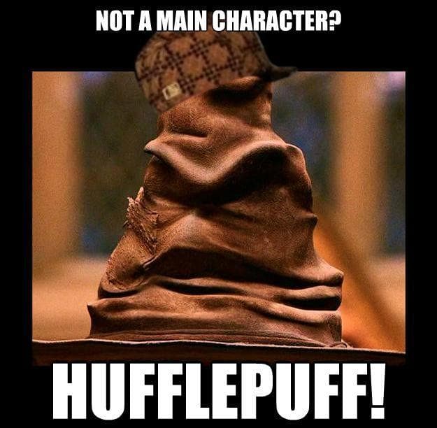 These Super Smart Sorting Hat Memes Are Always Right